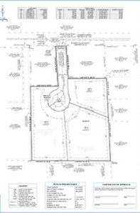 What is Platting? - DHR Engineering Inc.